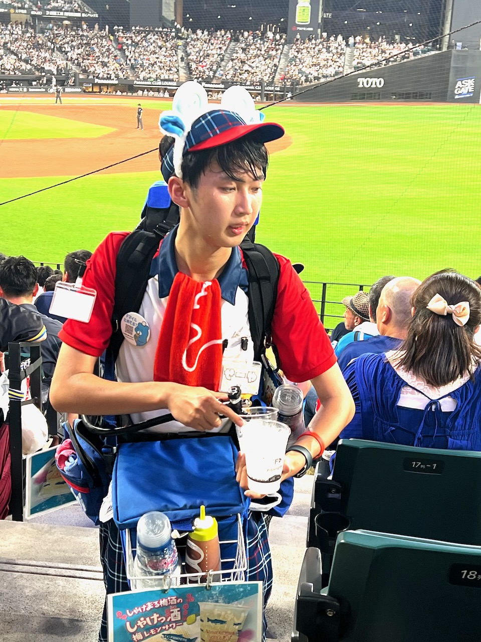 Japan baseball…the challenge to see them all. Part 2. – Randy Lewis